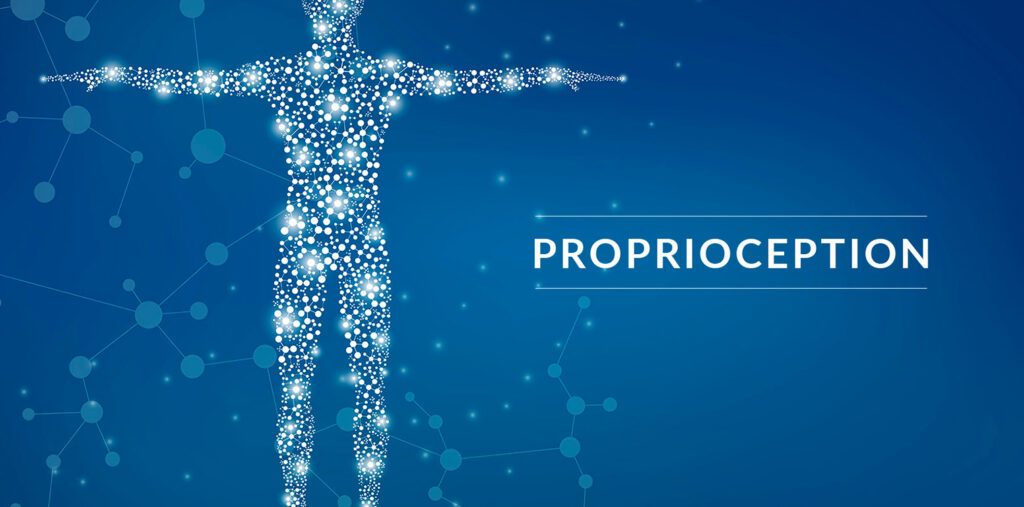 Qu'est-ce que la proprioception ? | Institut de kinésithérapie | Paris